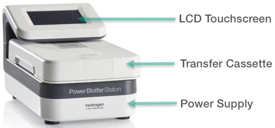 Western Blot Semi-Dry Transfer Device | Invitrogen™ Power Blotter ...