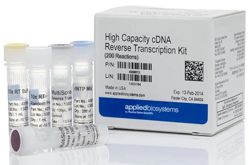 Applied Biosystems™ High Capacity RNA-to-cDNA™, cDNA Reverse ...