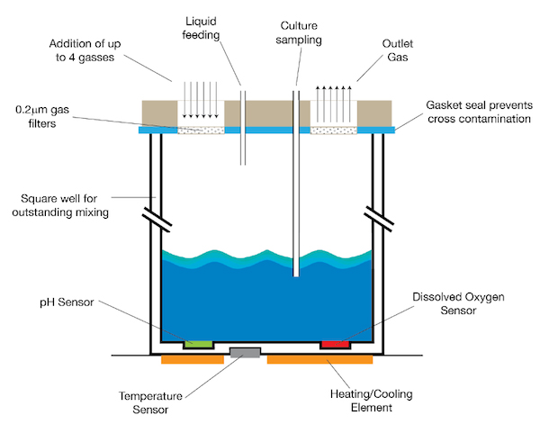 Micro-matrix Bioreactors (1-10 ml) | AntTeknik.com