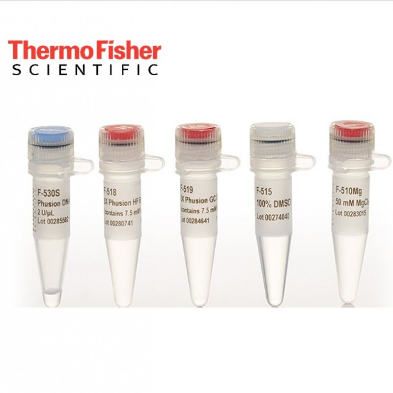 Thermo Scientific™ Phusion™ High-Fidelity DNA Polymerase, dNTP Mix ve PCR Master Mix (with HF-GC ...